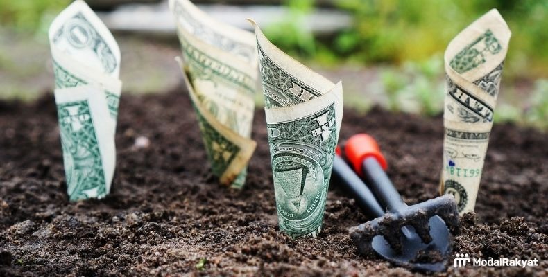 Compound Interest adalah Keuntungan Investasi, ini Rumusnya